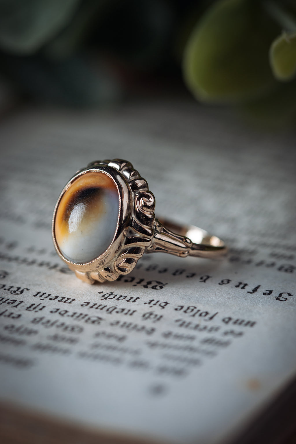 Early 1900s Gold Operculum Ring – The Veiled Mirror