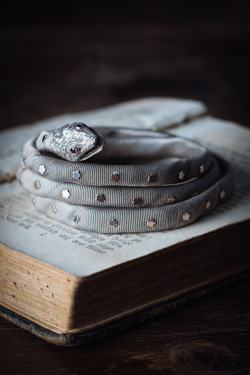 Victorian French Woven Mesh Snake Arm Band – The Veiled Mirror